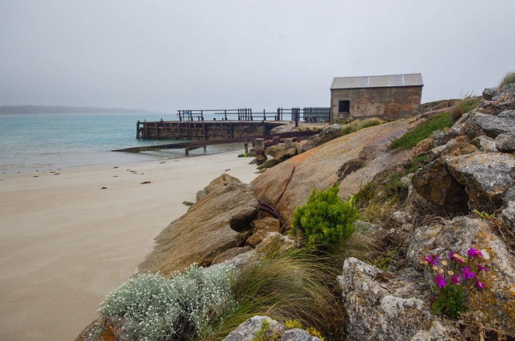 Three Hummock Island - Tasmania's Best Kept Secret - Fork and Foot