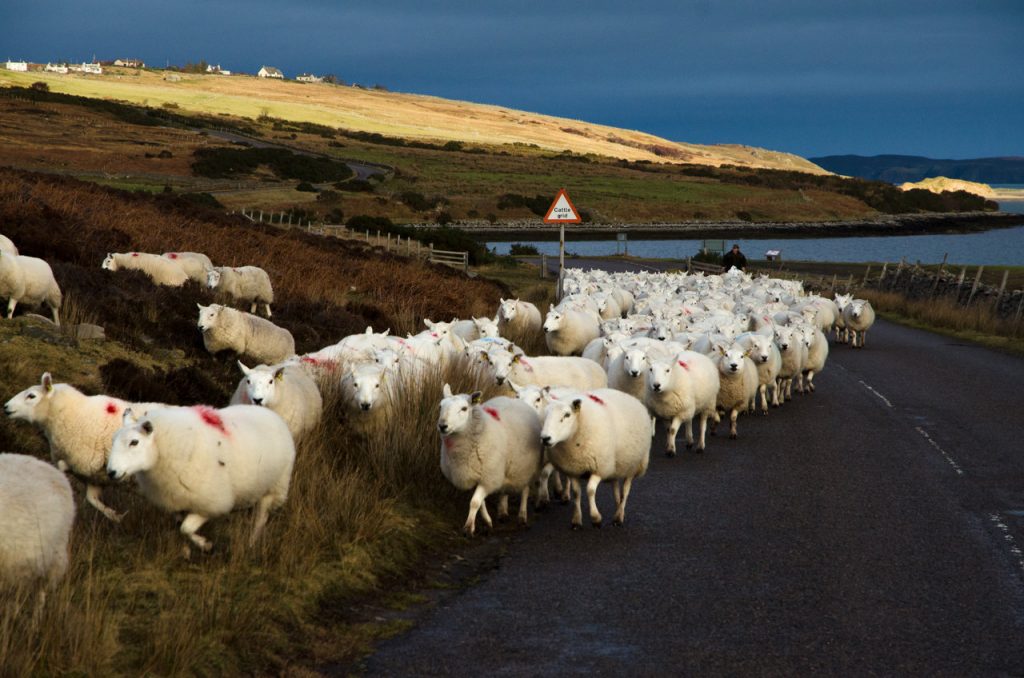 Day 4 - Driving the NC500 in winter - Durness - Fork and Foot