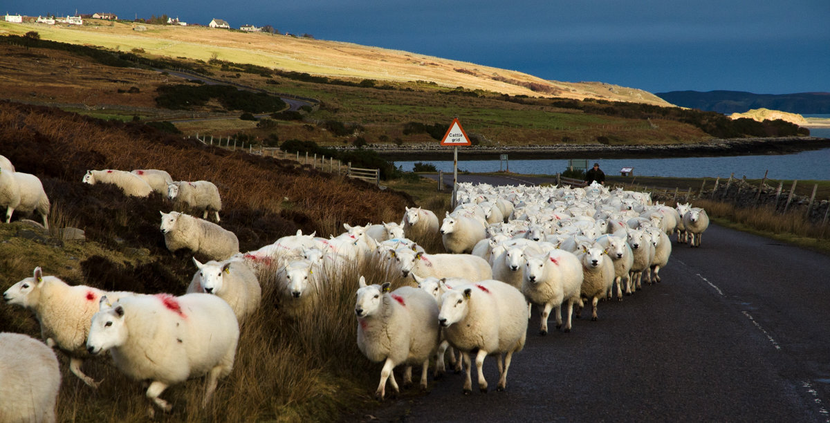 Day 3 - Driving the NC500 in winter - Thurso to Durness - Fork and Foot