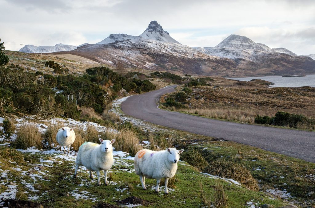 Day 9 - Driving the NC500 in winter - Lochcarron - Fork and Foot