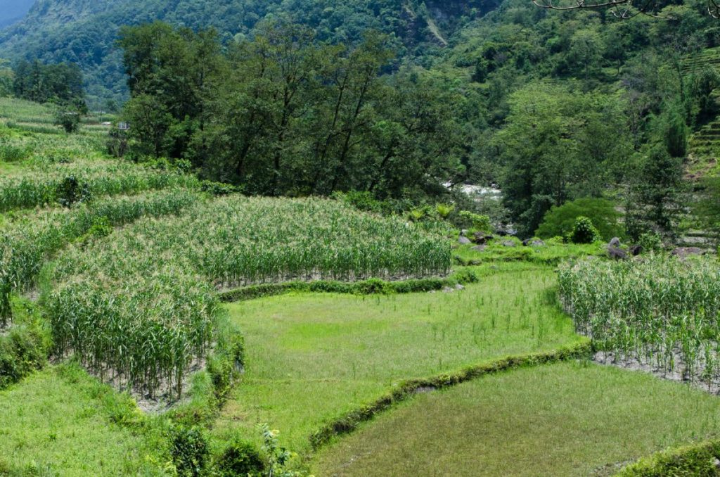 Ghandruk Loop: An hors d'oeuvre to the best hiking in Nepal - Fork and Foot