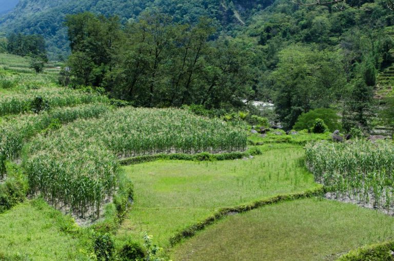 Ghandruk Loop: An hors d'oeuvre to the best hiking in Nepal - Fork and Foot