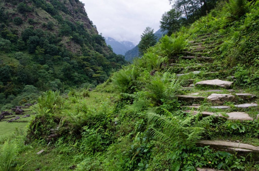 Ghandruk Loop: An hors d'oeuvre to the best hiking in Nepal - Fork and Foot